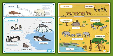 Small World Role Play Maps Twinkl Linsegnante Ha Fatto