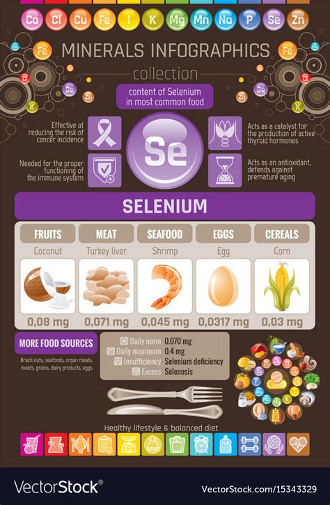 Selenium Mineral Supplement Rich Food Icons Vector Image