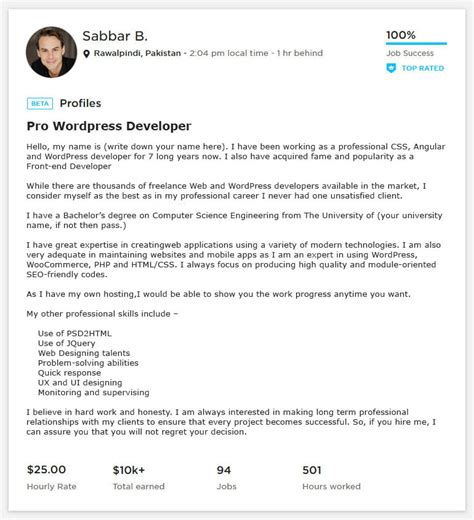 Upwork Overview Sample For Wordpress Developer Webson Job