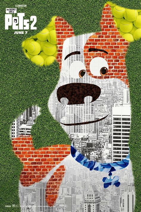 Secret Life Of Pets 2 The 2019 Movie Info Aceshowbiz