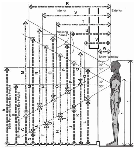 Anthropometry In Architecture A Comprehensive Guide