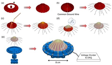 Design And Development Of A Hydrogel Based Soft Sensor For Multi Axis Force Control Dr David