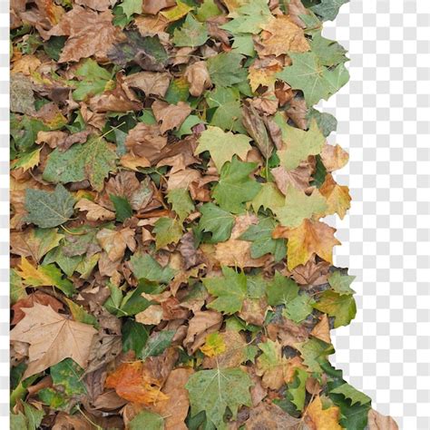 Ground Leaves Texture Psd High Quality Free Psd Templates For Download