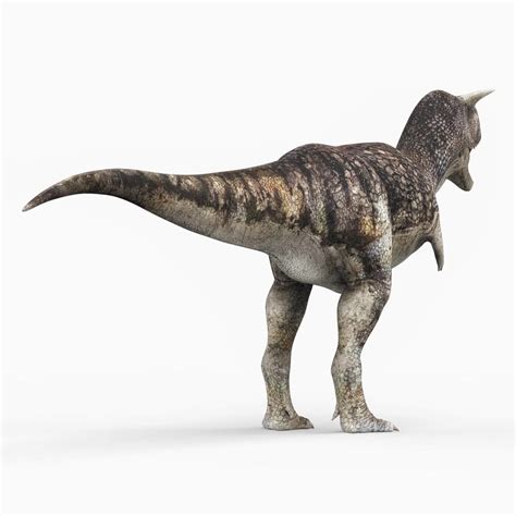 Carnotaurus Dinosaur 3d Model By Cgsea