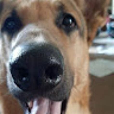 Stream Nannette Music Listen To Songs Albums Playlists For Free On