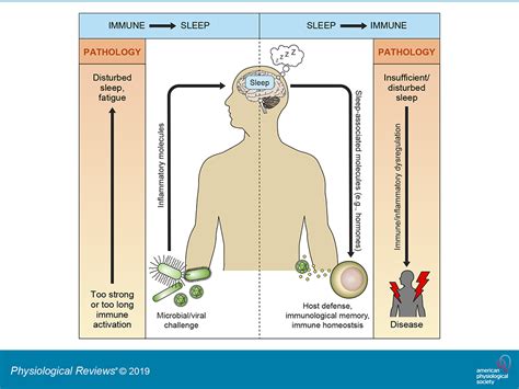 Lack Of Sleep And Inflammation Why You Need To Know About It The