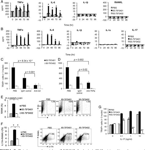 figure 3 from an hla drb1 coded signal transduction ligand facilitates