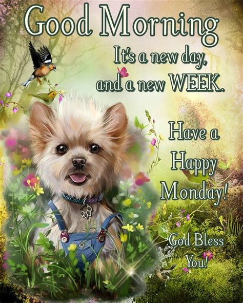 A New Day A New Week Good Morning And Happy Monday Pictures Photos