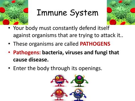 Immune System Pptx