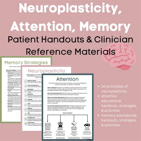 Neuroplasticity Attention Memory Patient Handouts Strategies SLP
