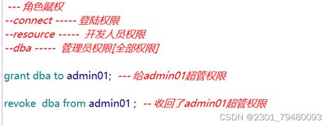 Oracle介绍oracle是什么软件 Csdn博客