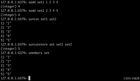 【redis初阶】set 集合类型 csdn博客