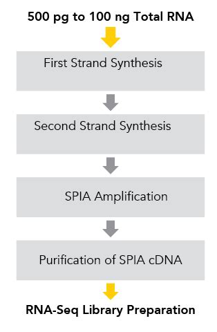 The Ovation RNA Seq System V CDNA Synthesis Kit Genomax