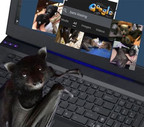 Pin By Gothicaandroses On Memes Cute Bat Bat Bat Species