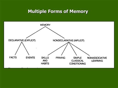 Ppt Clinically Relevant Functional Neuroanatomy 2 Neuroanatomy Of