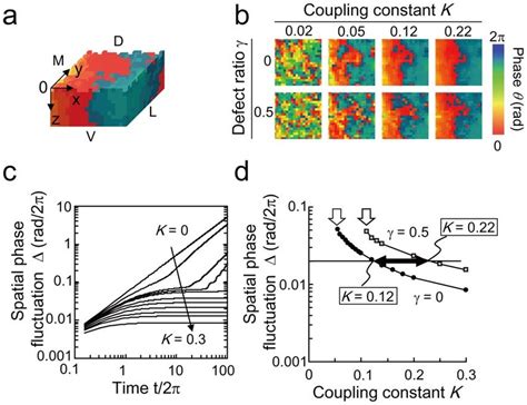 Estimation Of The Intercellular Coupling Strength By The Model Download Scientific Diagram