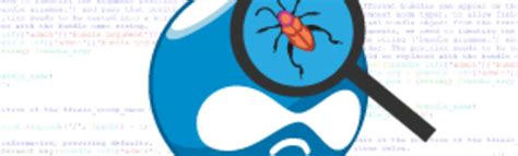 Improving Your Drupal Testing Process