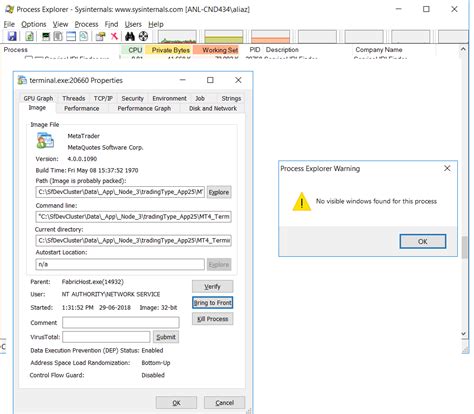 Gui For Guest Executable · Issue 742 · Microsoftservice Fabric · Github