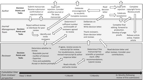 The Peer Review Process Handbook Of University And Professional Careers In Babe Psychology