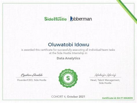 Dataanalyst Dataanalytics Data Sidehustleinternship4 Cohort4