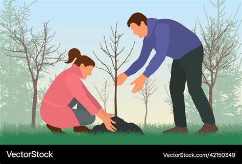 Planting Trees Man And Woman Plant Bare Tree Vector Image