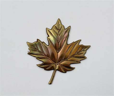 Impressive Brass Leaf Wall Hanging Macrame Planter Kit