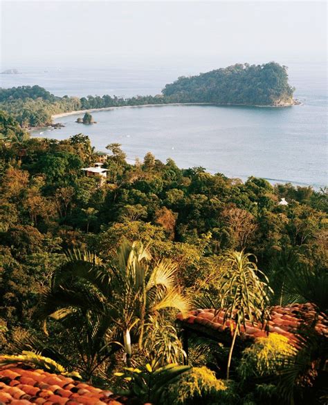 A Photographic Journey Through Costa Ricas Rainforest National Parks