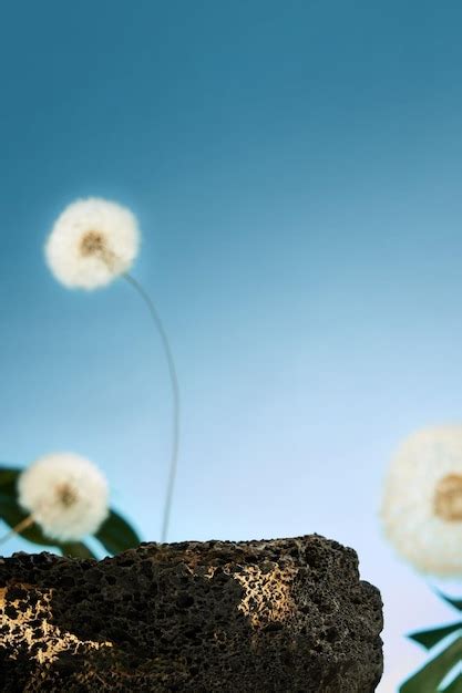 Premium Photo Products Presentation Showcasing Products Product