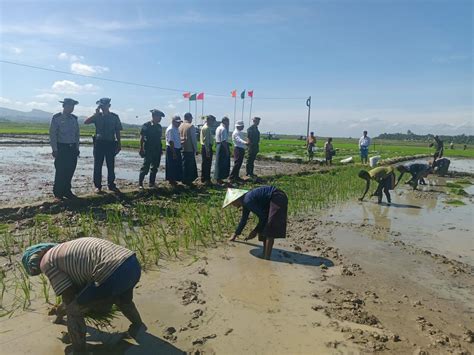 ဒုတိယဗိုလ်ချုပ်ကြီးအေးဝင်းသည် တာဝန်ရှိသူများနှင့်အတူ မိုးစပါးမျိုးစေ့