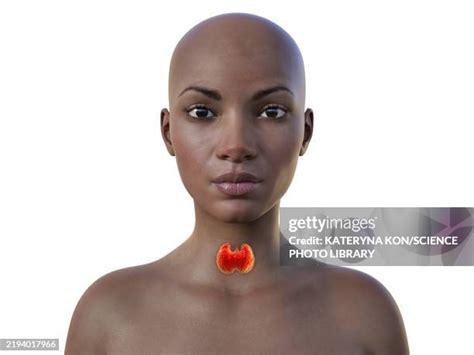 Thyroid Gland Illustration High Res Vector Graphic Getty Images