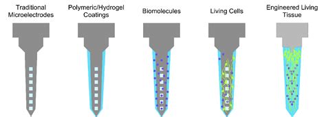 Figure 2 From Bioactive Neuroelectronic Interfaces Semantic Scholar