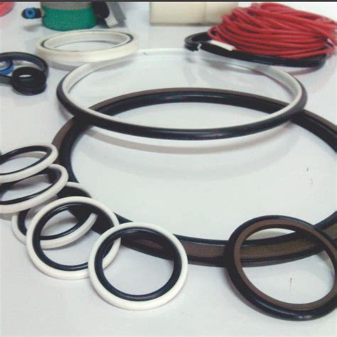 Spring Energised Seals In Bangalore Triumph Seals