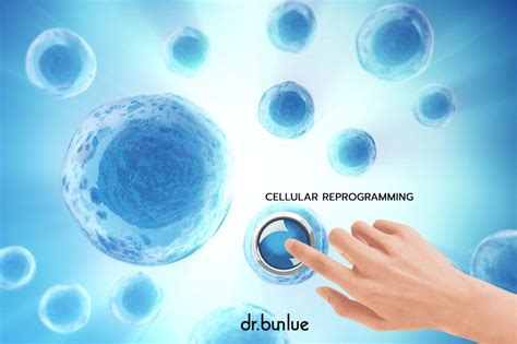 งานวิจัย Cellular Reprogramming ช่วยยืดอายุขัยและย้อนวัย