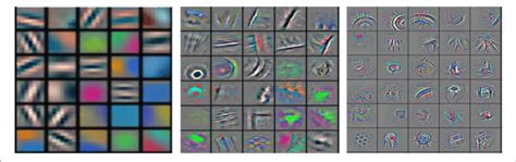 different feature maps of a convolutional neural network [cnn