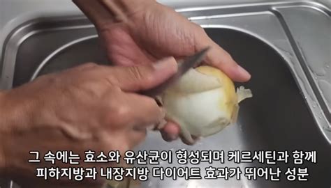 양파로 요구르트를 만들어보세요 꽉찬 숙변은 쏟아지고 기름으로 막힌 혈관은 뻥 뚫린다고 뉴스를 싣고