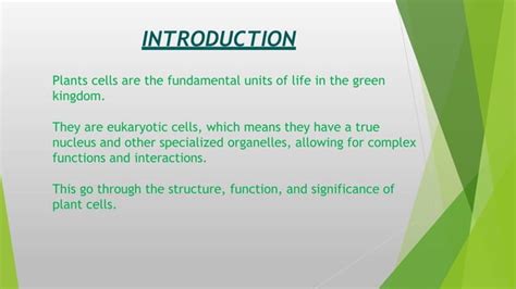 Assignment Cell Biology Ppt