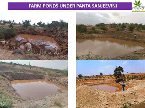 Integrated Watershed Management Programme Iwmp Accion Fraterna Ecology Centre