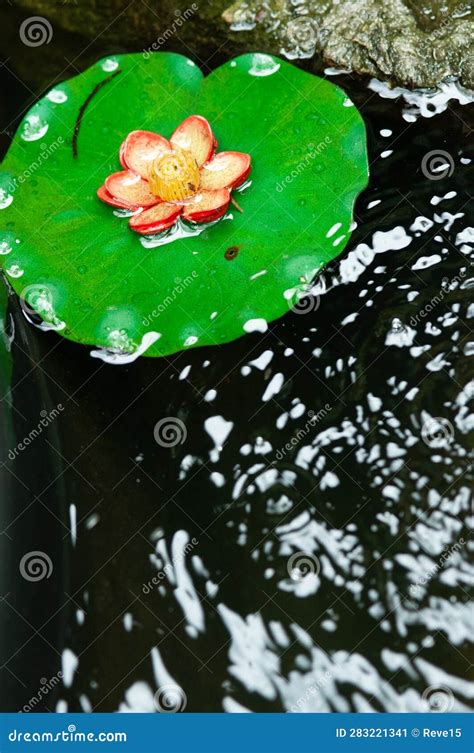 Flower Growing In Center Of Green Lily Pad In Flowing Water Pond Stock