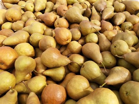 Dutoit Agri The Golden Russet Bosc Pear Is True To Its Facebook