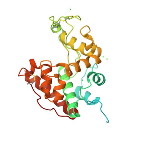 Rcsb Pdb 1wvu Crystal Structure Of Chitinase C From Streptomyces