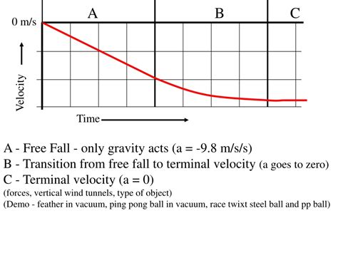 PPT Linear Kinematics Through Free Fall Demonstrations PowerPoint Presentation ID 9383688