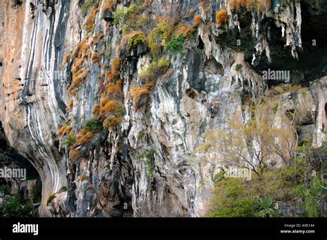 Rock Climbing Tonsai Bay Phranang Krabi Thailand Model Release 382 Climb Hin Rong Rai French 6c
