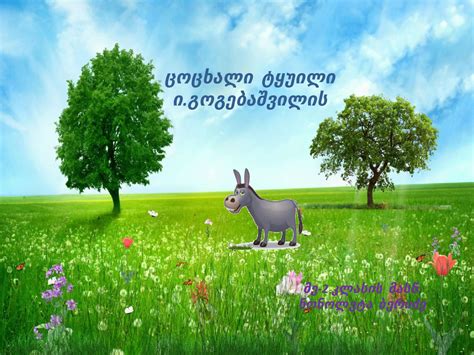 Calaméo ცოცხალი ტყუილი