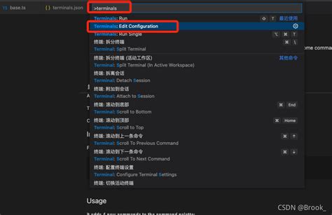 vscode快捷键启动多terminal vscode terminaloptions csdn博客