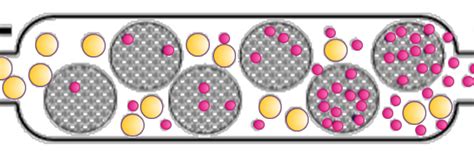 Wp1615 Sec Mals For Absolute Biophysical Characterization