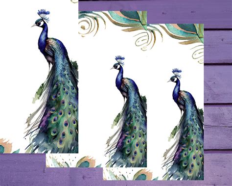 Peacock Letter Writing Paper A5 Stationery Lined Unlined Penpal