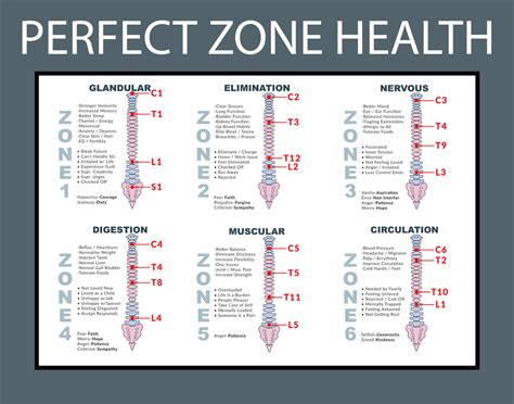 Zone Technique — Alices Chiropractic Wonderland