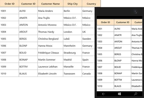 Styles And Templates In UWP DataGrid Control Syncfusion