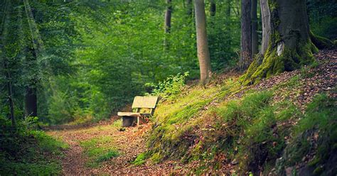 Dive Into Ancient Wisdom Of Indian Scriptures