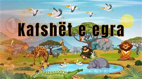 Kafshet E Egra Youtube